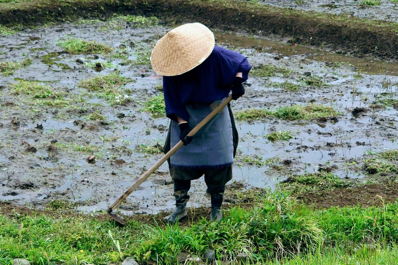 鍬と鋤の違い。似てるけど全く違う二千年の歴史から深堀る基本農具 – TOGIBU