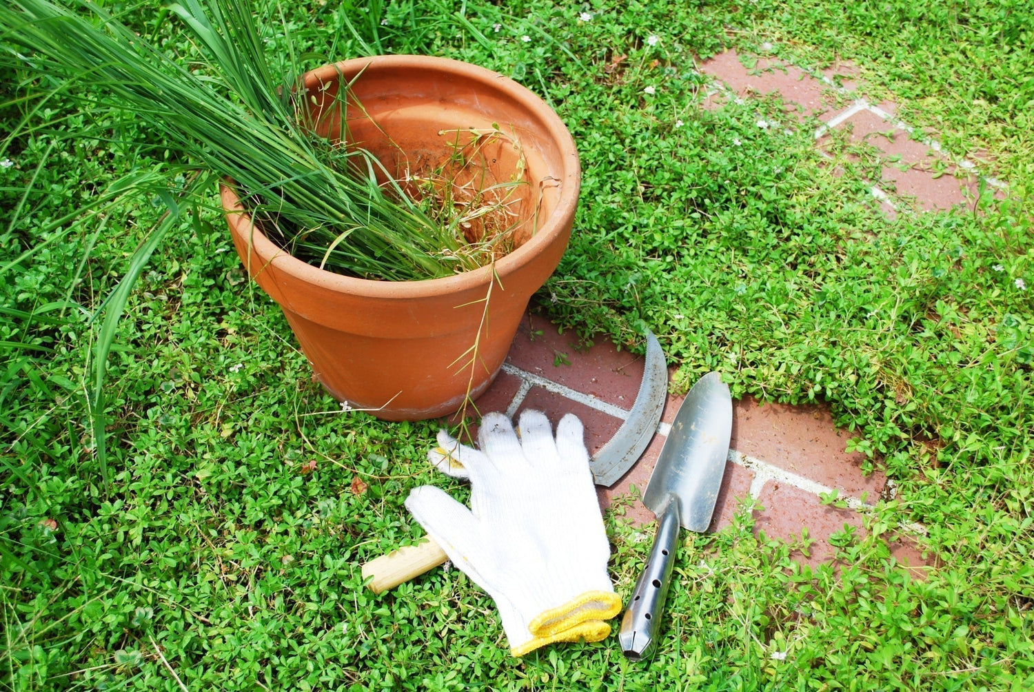 草刈鎌の種類と選び方｜用途別・素材別で徹底比較 – TOGIBU